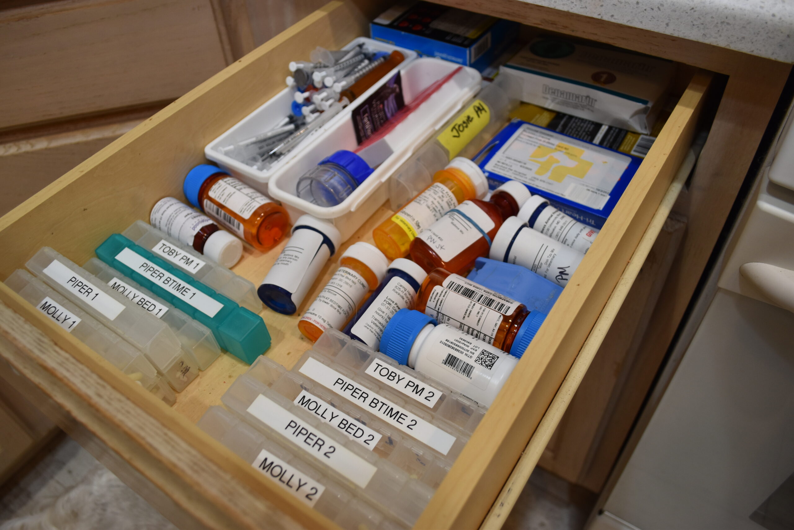 Giving Tuesday - Donating for Medications - House with a Heart
