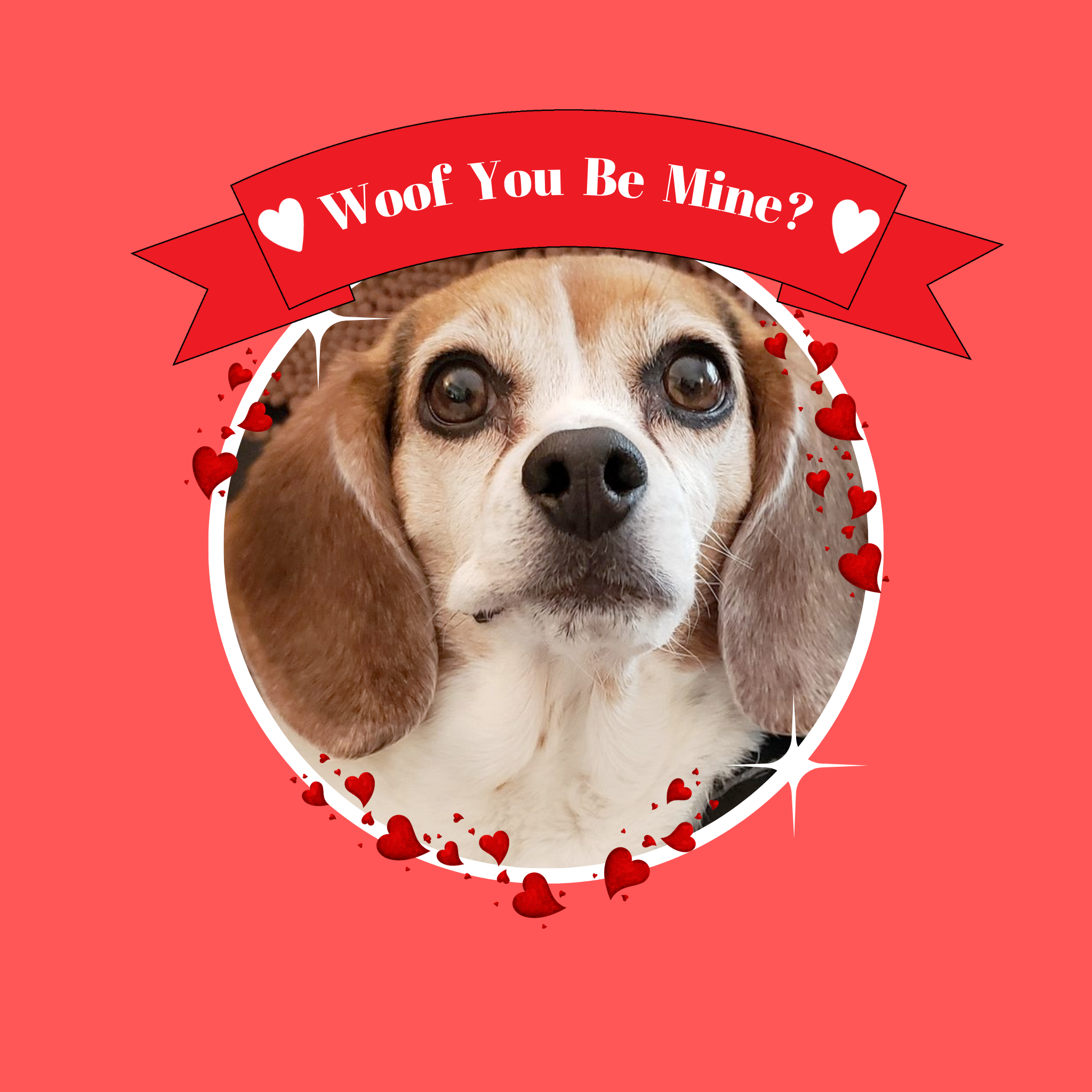 Valentine's Day Profile Picture - Piper! - House with a Heart
