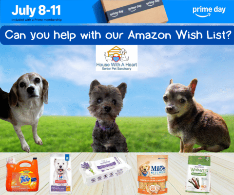 📣 COMING SOON - AMAZON PRIME DAYS (Starts this Tuesday!) 📣 - House with ...
